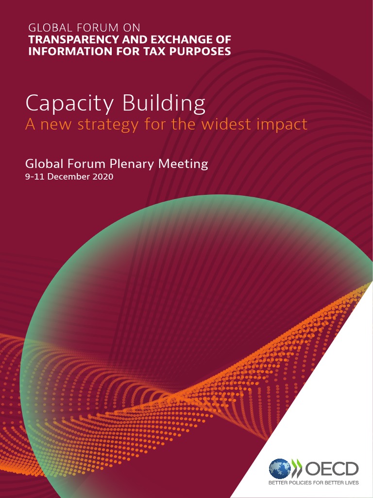 Capacity Building - A New Strategy For The Widest Impact | PDF ...