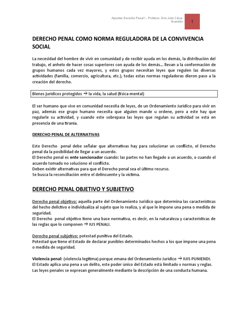 Derecho Penal Como Norma Reguladora De La Convivencia Social Pdf