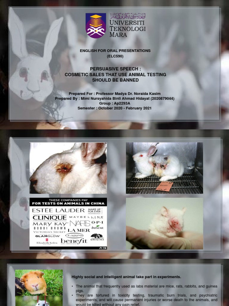 ELC590: Persuasive Speech | PDF | Animal Testing