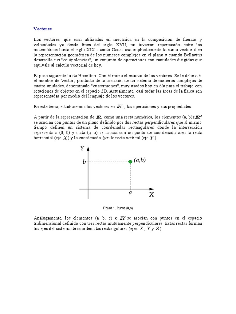 Vectores | PDF | Vector Euclidiano | Rotación