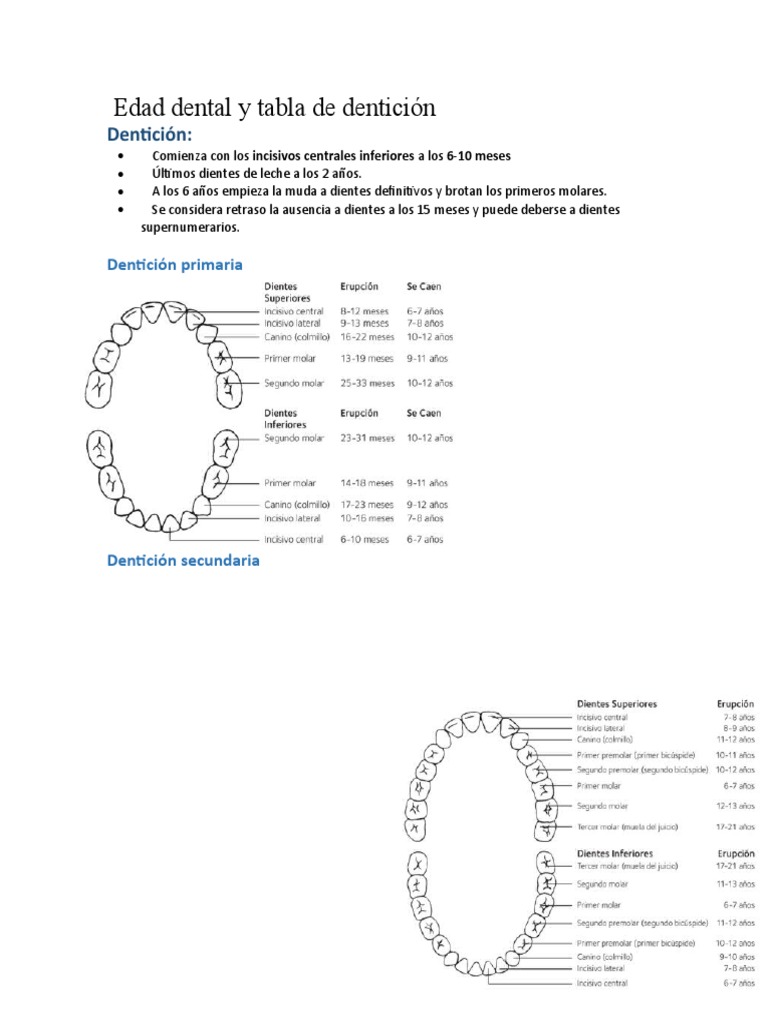 Edad Dental y Tabla de Dentición | PDF