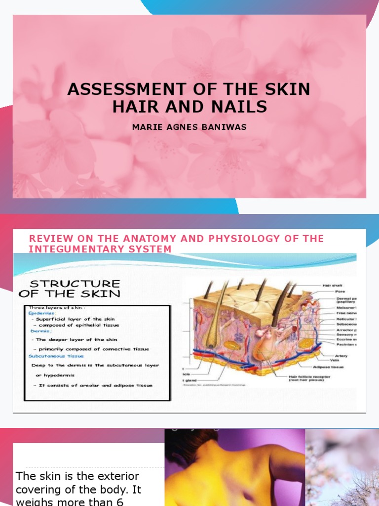 Skin, Hair, and Nails Assessment Guide | PDF | Skin | Physical Examination