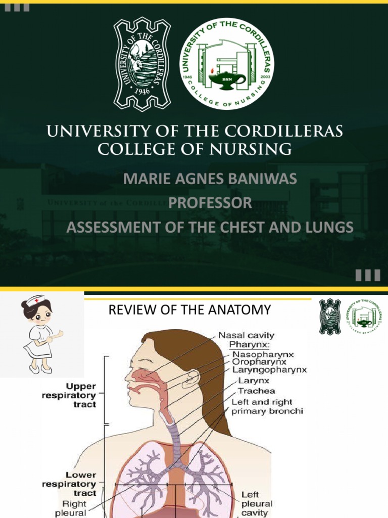 Chest and Lung Assessment Guide | PDF | Lung | Thorax