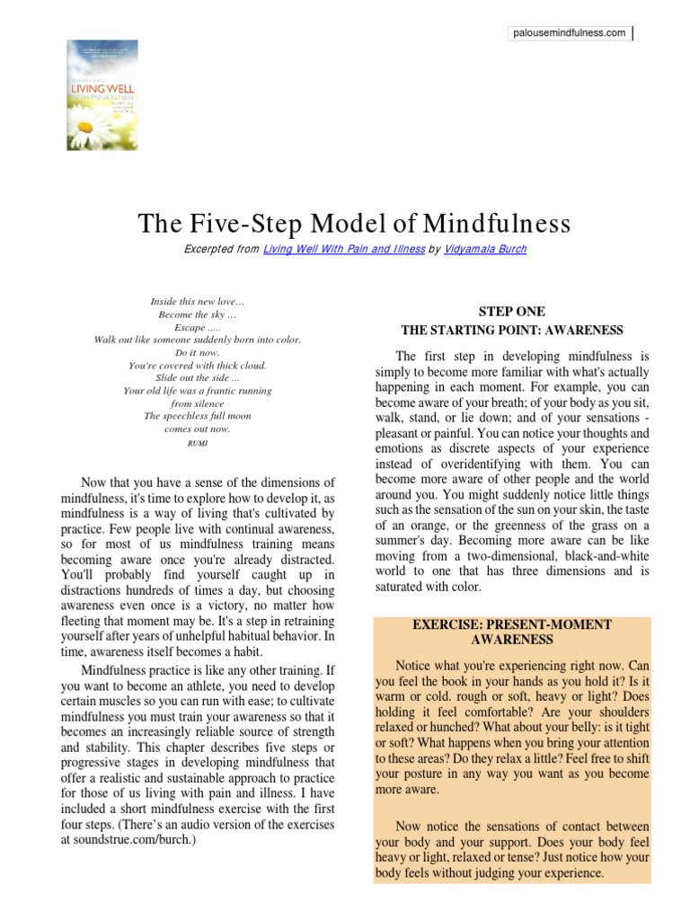 The Five-Step Model of Mindfulness: Excerpted From by | Download Free ...