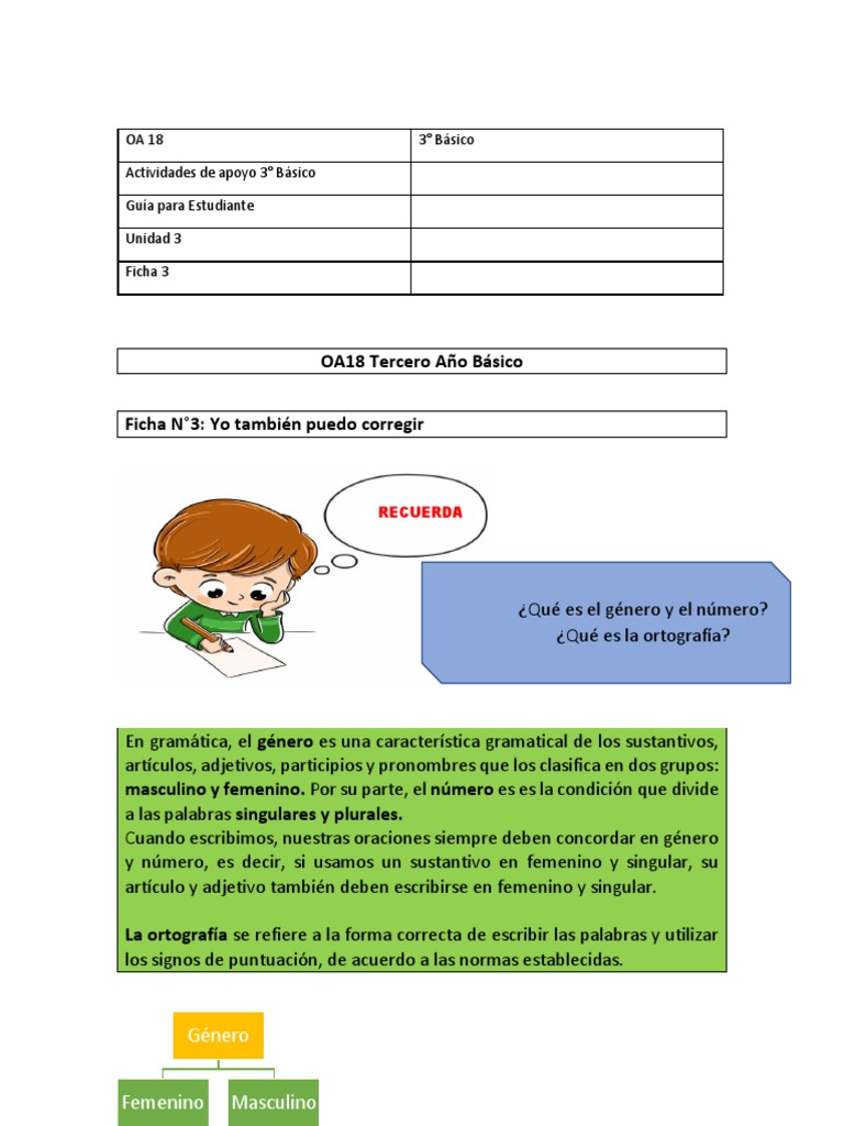 Género y Número en Gramática | PDF | Género gramatical | Numero Gramatical
