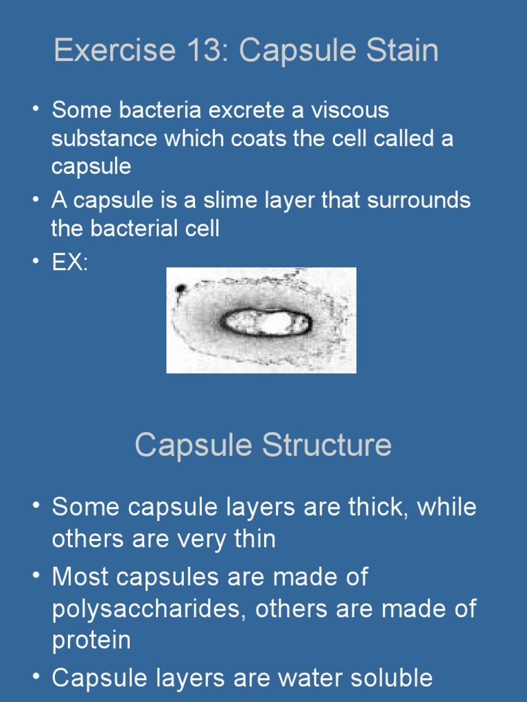 Capsule Staining Procedure Explained | PDF