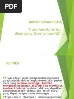Materi 7 - Penentuan Level Triase Pasien Igd Menurut Esi | PDF | Sains ...