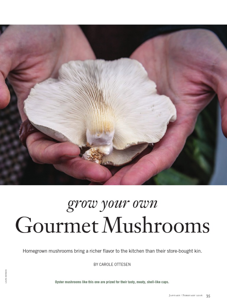 Mushrooms TAG JF16 | PDF | Mushroom | Fungus