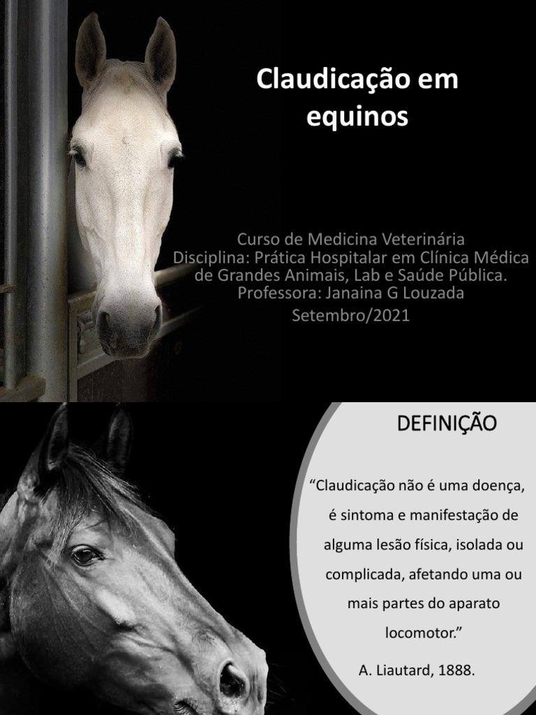 Claudicação em Equinos | PDF | Cavalos | Medicina Veterinária
