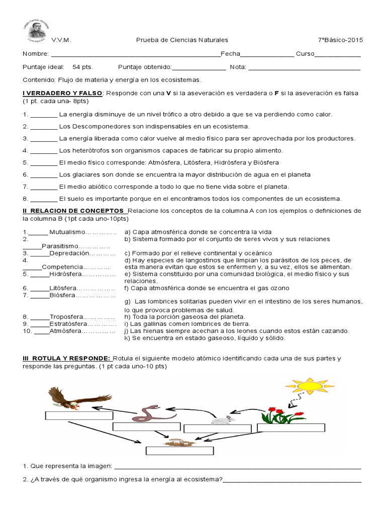Prueba Materia y Energía en El Ecosistema - 7°básico - Fernanda Fuentes ...