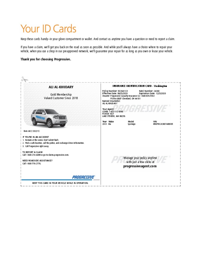 P GR Insurance Id Card Auto | PDF | Insurance | Motor Vehicle