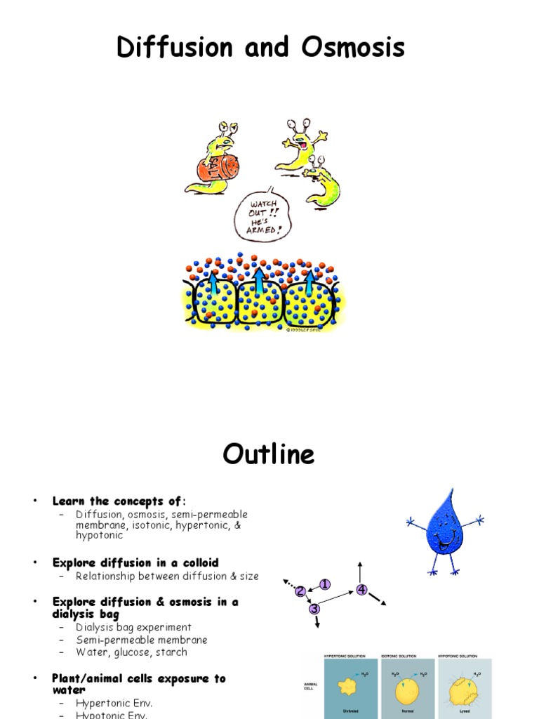 Diffusion and Osmosis | PDF | Osmosis | Chemistry
