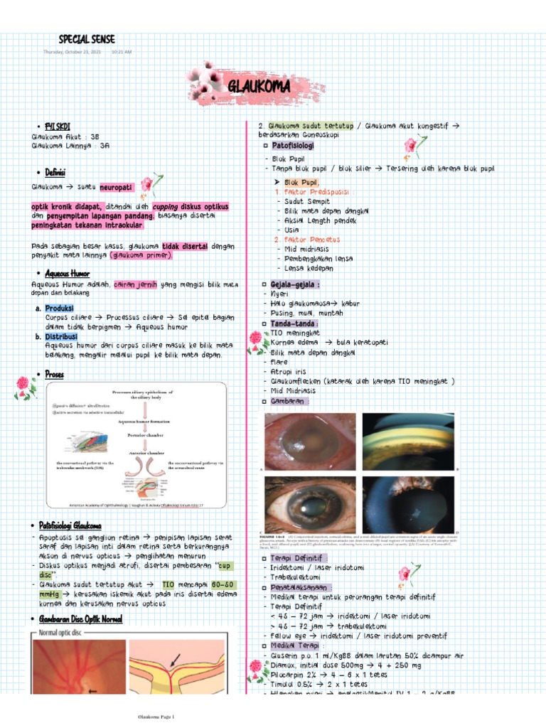 Special Sense Glaukoma | PDF