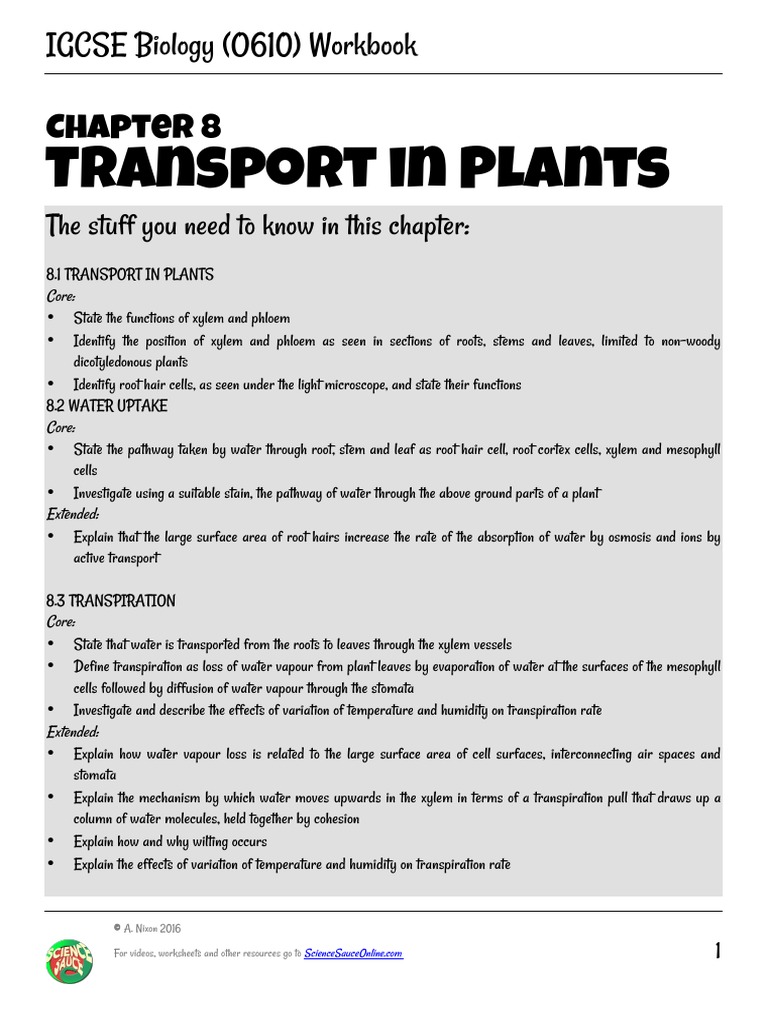 Transport in Plants: IGCSE Biology (O610) Workbook | PDF | Leaf | Root