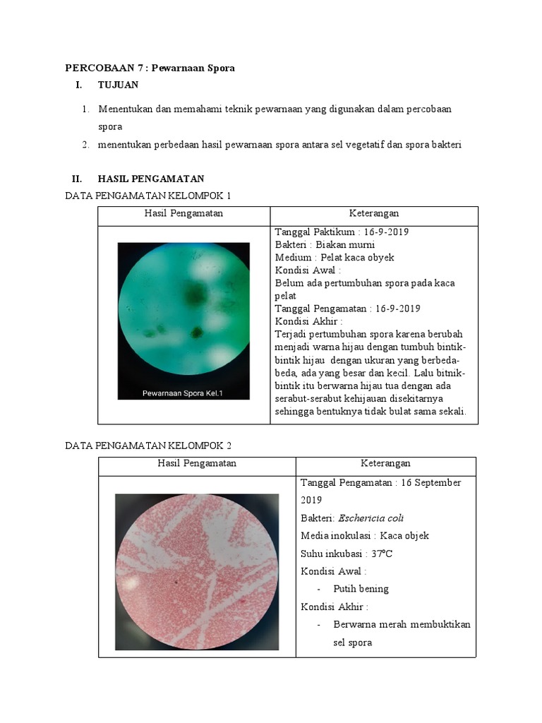 Teknik Pewarnaan Spora Bakteri | PDF | Sains & Matematika