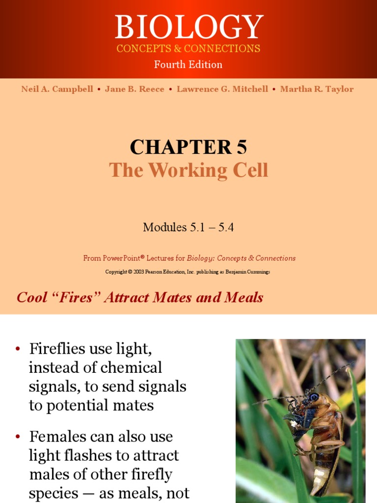 The Working Cell: Concepts & Connections | Download Free PDF | Cell ...