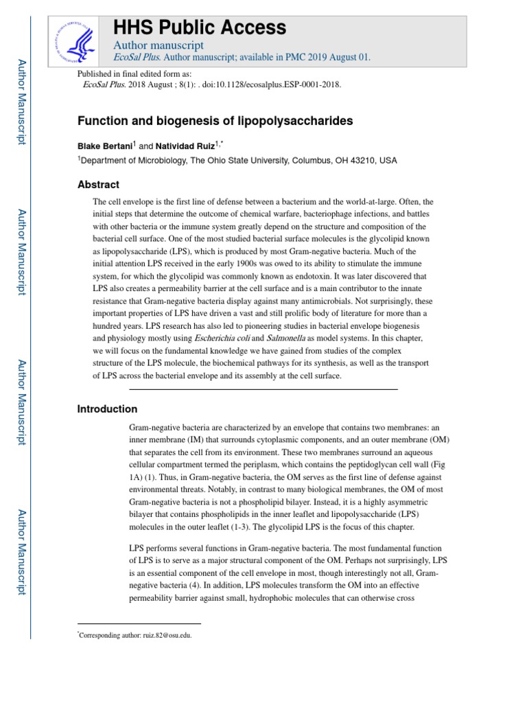LPS Function 2018 USA | PDF | Lipopolysaccharide | Gram Negative Bacteria