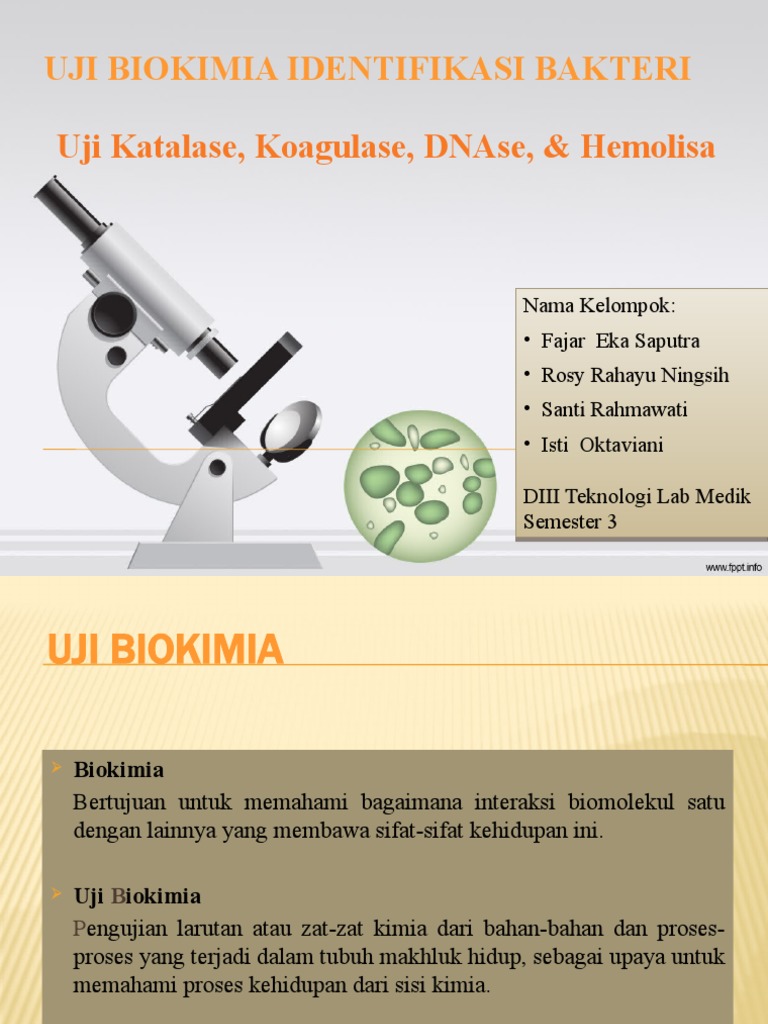 Uji Biokimia, Katalase, Hemolise, Dnase | PDF