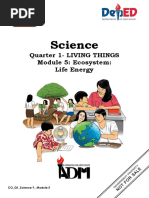 Grade 9 Science Unit 1 Module 3 Final | PDF | Biodiversity | Extinction