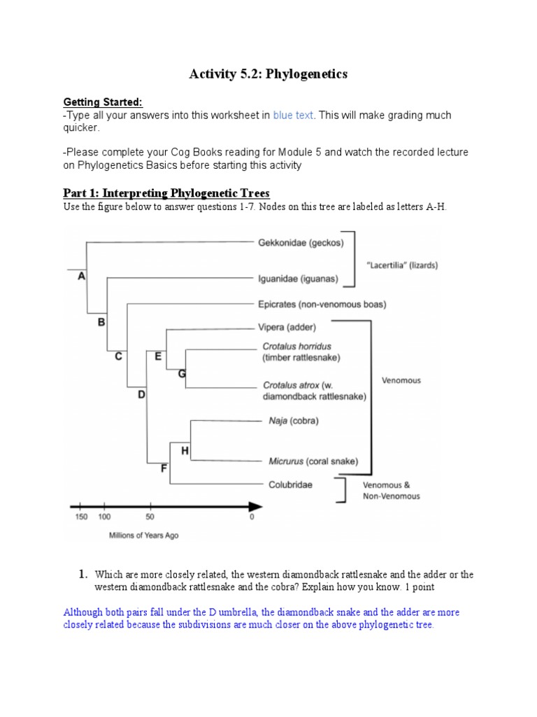 Activity 5.2 Phylogenetics SU21 Student Version | PDF | Evolution ...