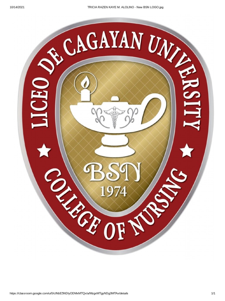 BSN Logo | PDF