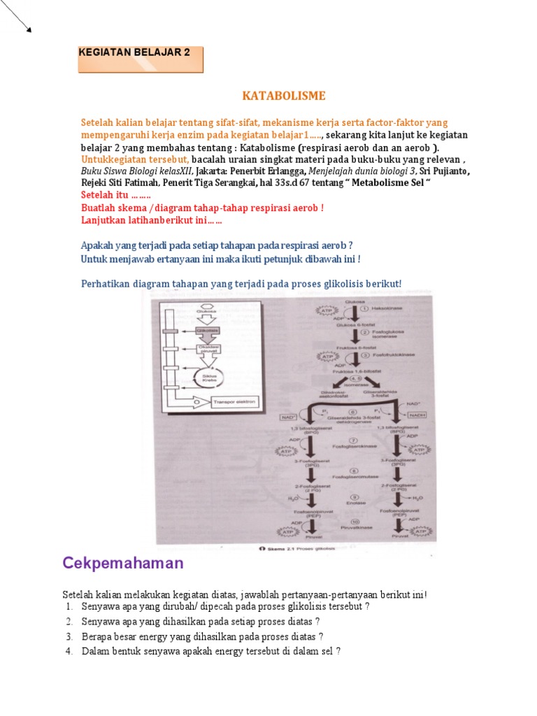 Ukbm 3.2 Xii - Metabolisme Sel KB 2 | PDF