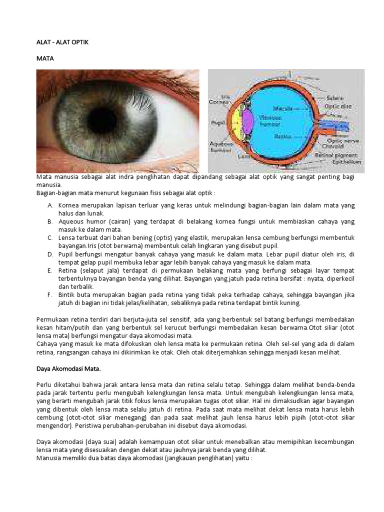 Alat-Alat Optik Mata | PDF
