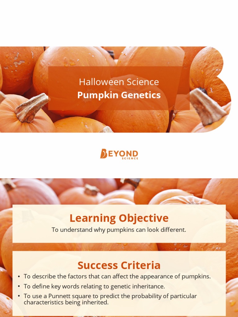 Pumpkin Genetics PowerPoint | PDF | Allele | Zygosity
