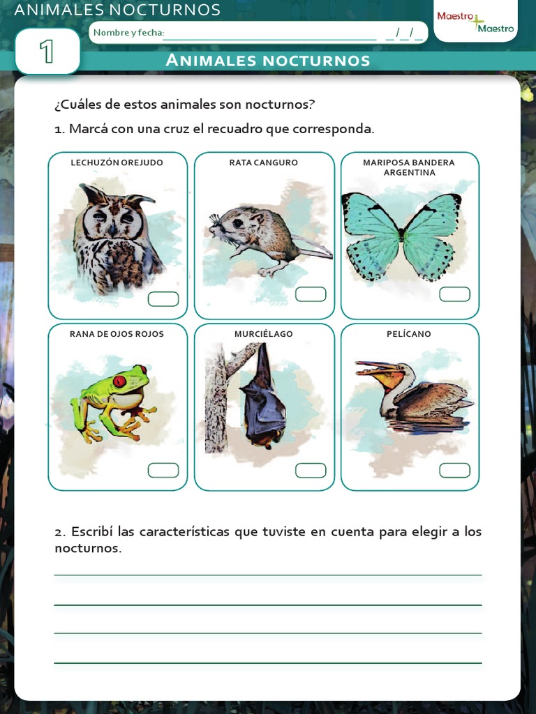 Animales Nocturnos. FICHA 1 | PDF