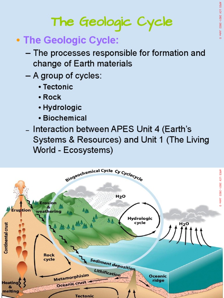 Biogeochemical Cycles For APES | PDF | Carbon Cycle | Nitrate