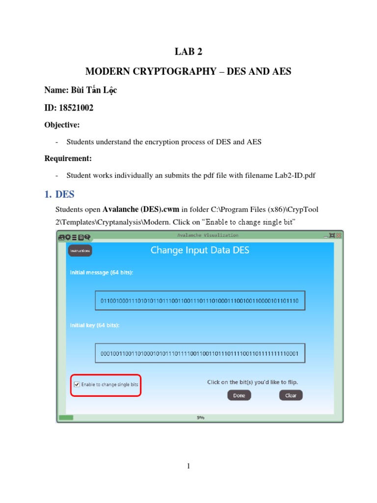 Lab 2 Modern Cryptography - Des And Aes: Name: Bùi Tấn Lộc ID: 18521002 ...