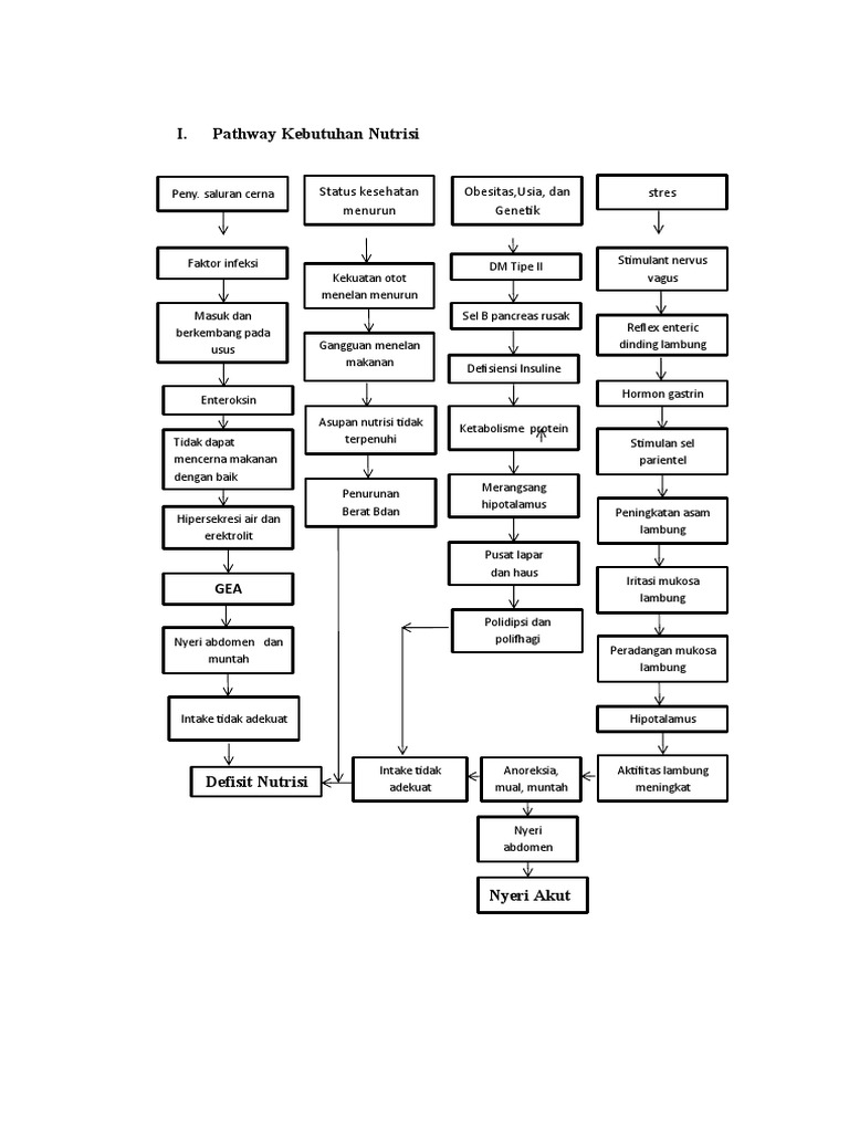 Pathway Kebutuhan Nutrisi | PDF