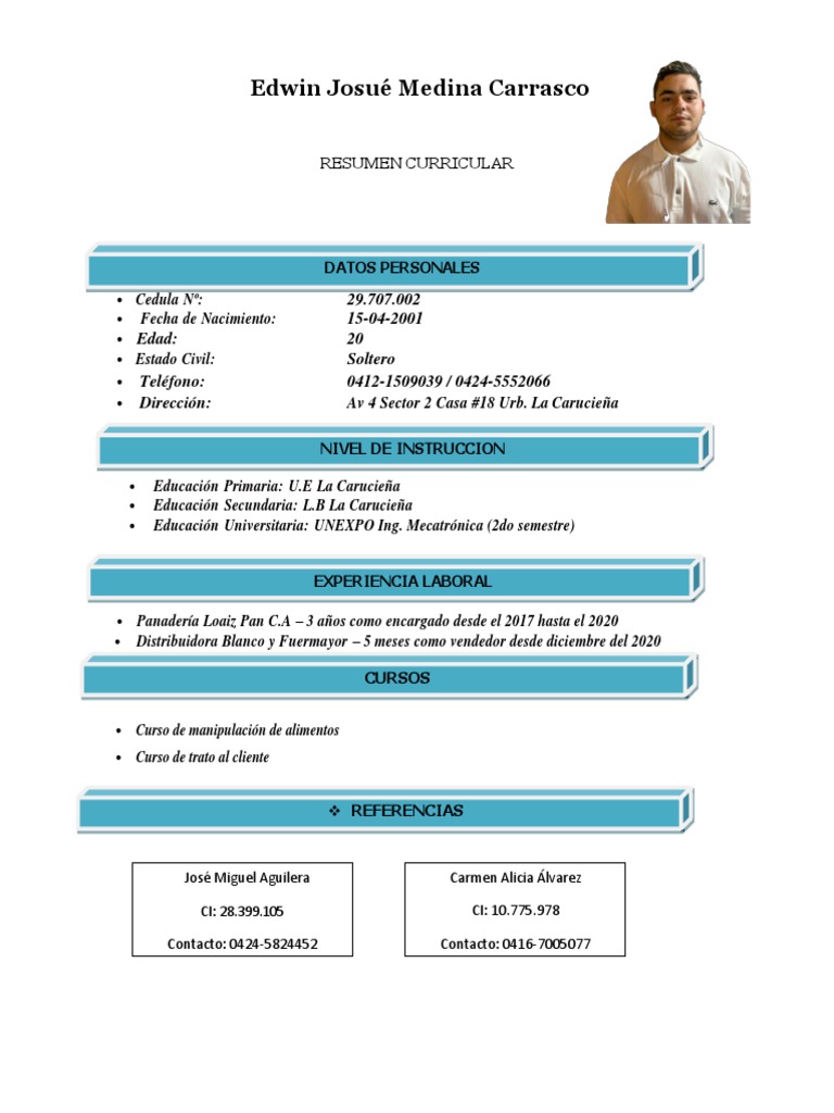 CV Edwin | PDF