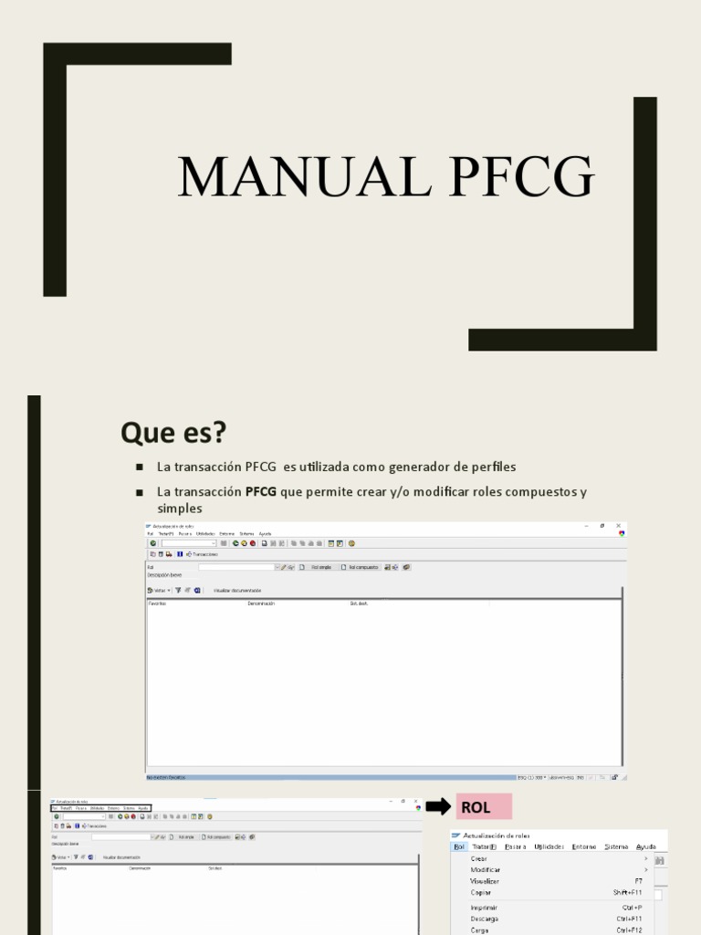 Guía de Roles en SAP PFCG | PDF | Informática | Tecnologías de la ...