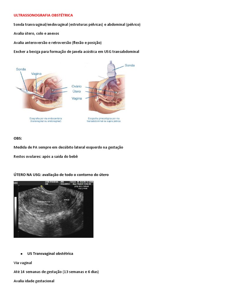 Ultrassonografia Obstétrica: Métodos e Avaliações | PDF | Gravidez ...