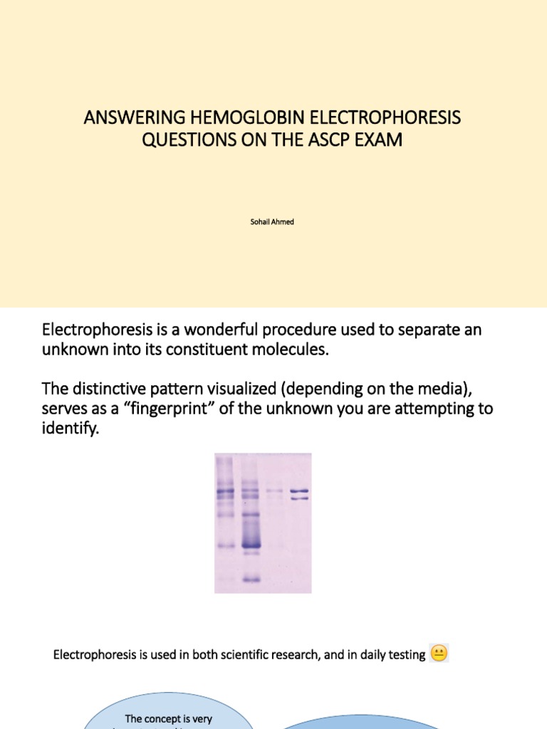 Interpreting Hemoglobin Electrophoresis | PDF