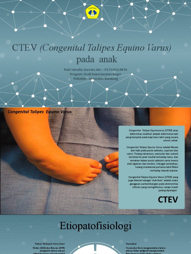 CTEV - Putri Amalia Qurratu Ain | PDF