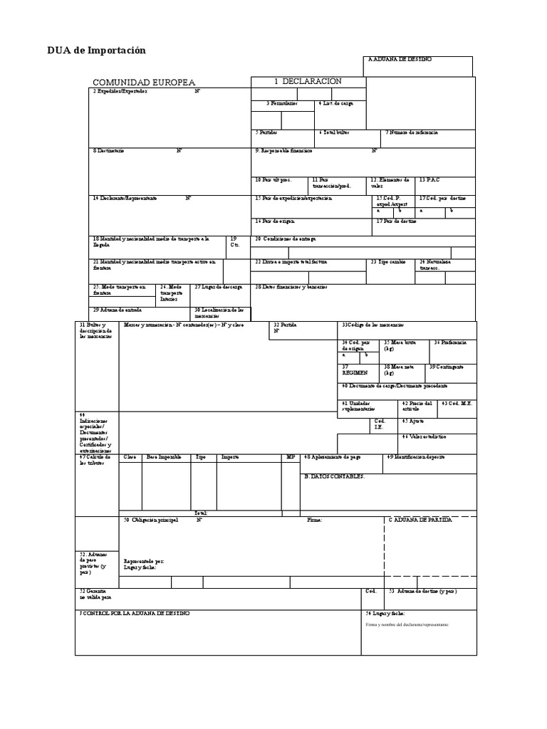 Modelo DUA de Importación PDF | PDF