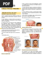 Apostila - Músculos Da Face | PDF | Rosto | Anatomia humana