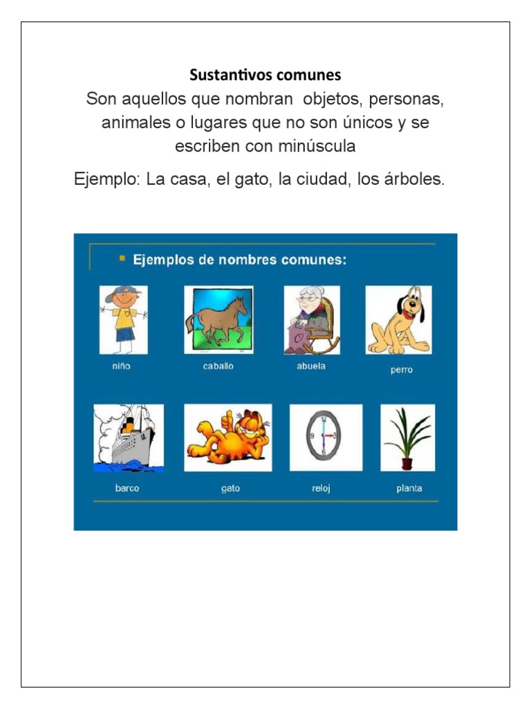 Sustantivos Comunes | PDF