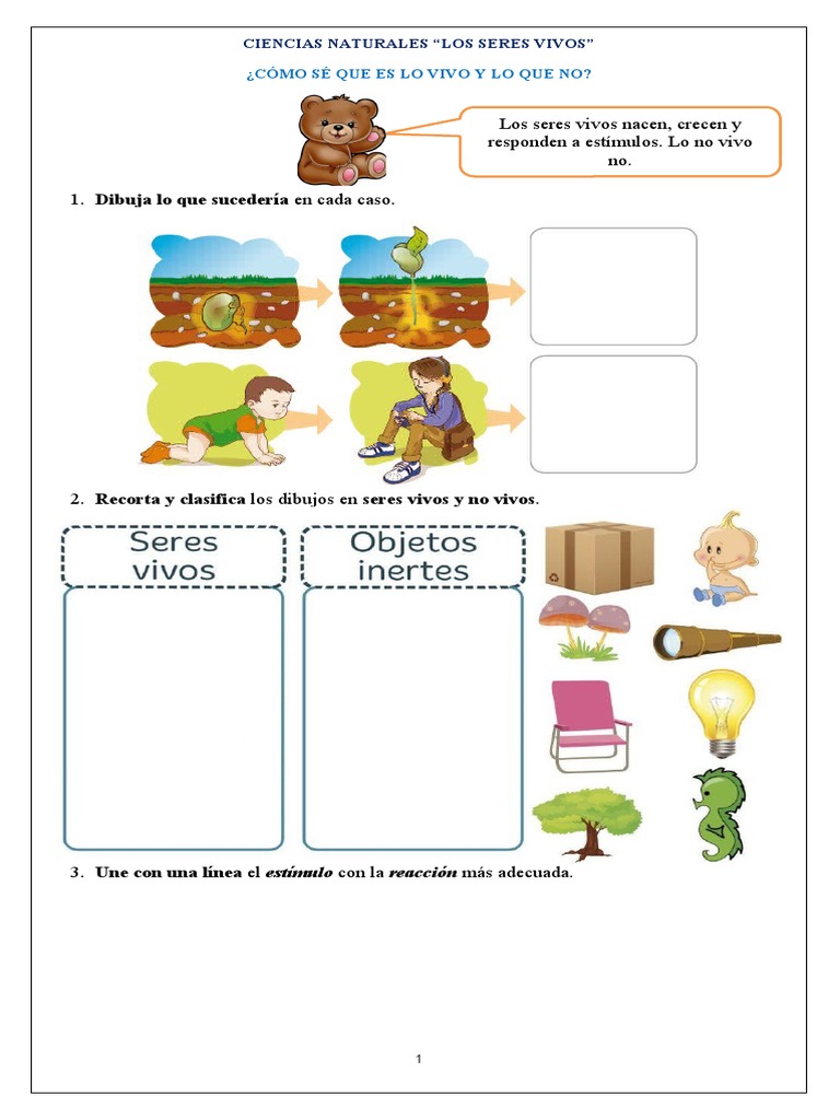 Guia de Aprendizaje, Ciencias 1 (12 Al 23 de Abril) Los Seres Vivos ...