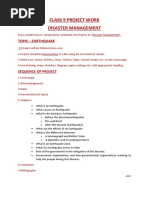 SST Class9 Disaster Management Project | PDF | Flood | Emergency Management