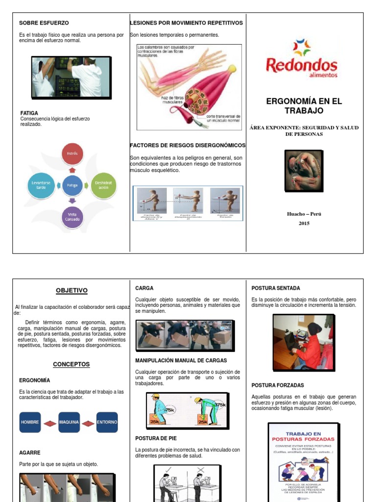 Ergonomía en El Trabajo (Tríptico) | PDF | Factores humanos y ergonomía
