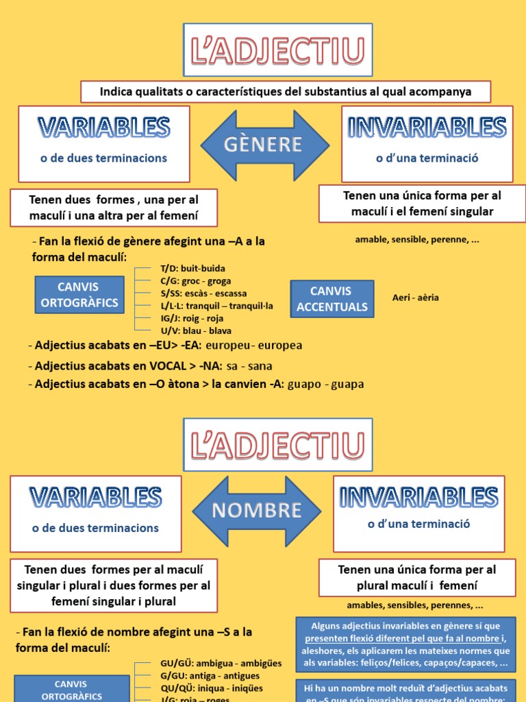 El Gènere I El Nombre Dels Adjectius | PDF