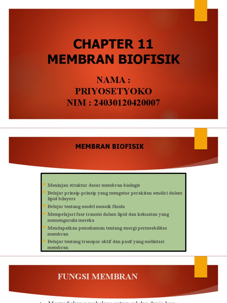 Chapter 11 Biofisik Priyosetyoko 24030120420007 | PDF
