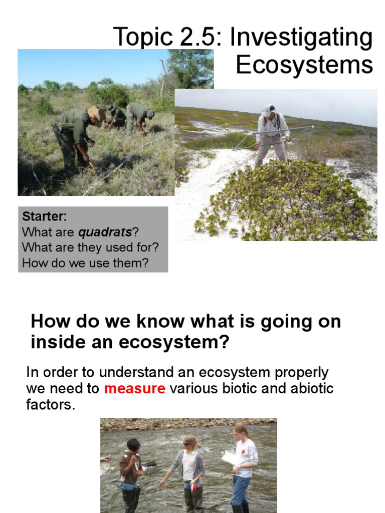 Topic 2.5: Investigating Ecosystems: Starter | PDF | Aquatic Ecosystem ...