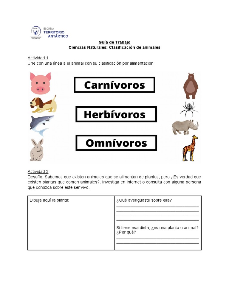 Guía de Trabajo - Clasificación de Animales | PDF | Salud y bienestar