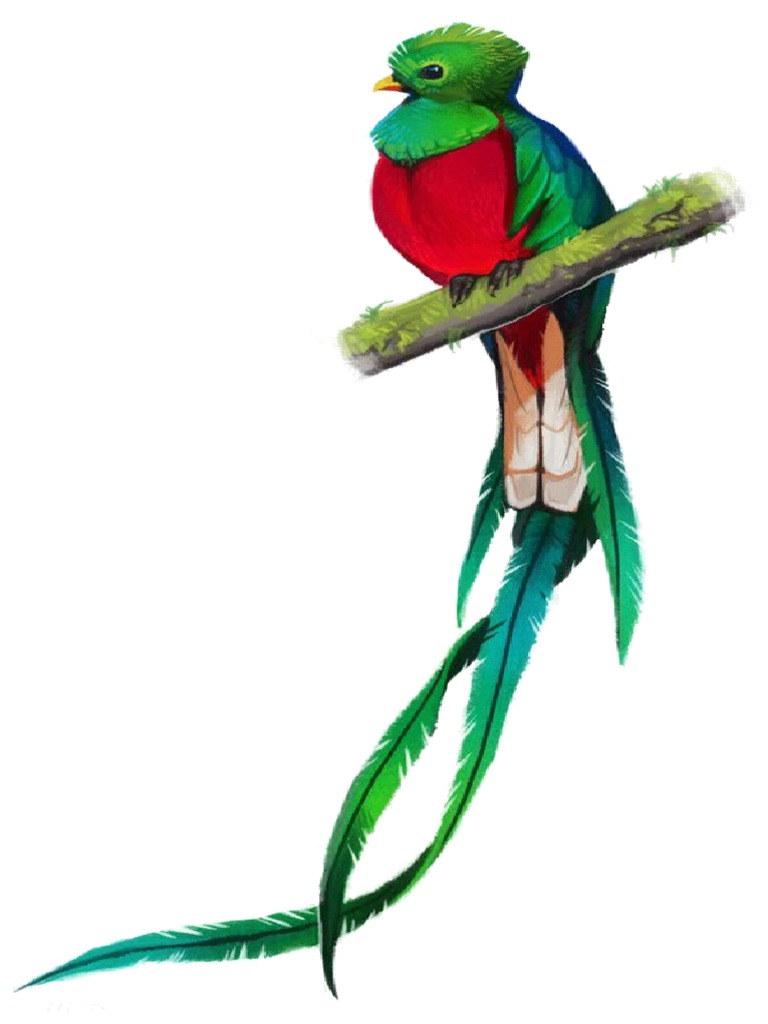 El Quetzal | PDF