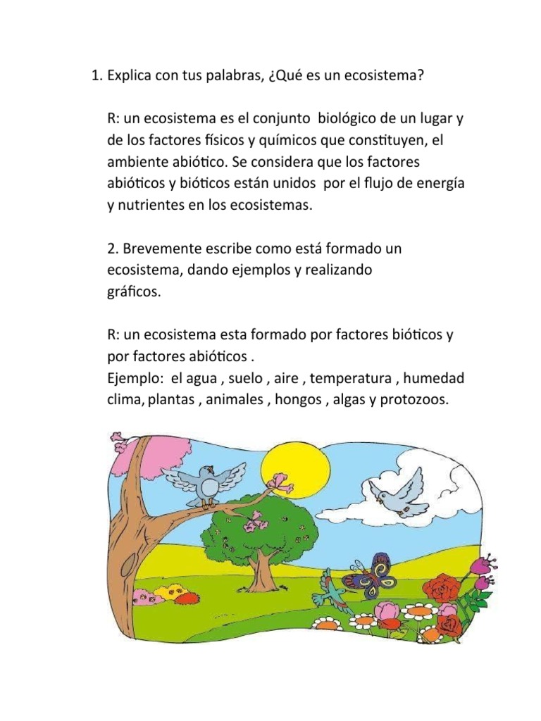 Explica Con Tus Palabras Bio | PDF | Ecosistema | Clima