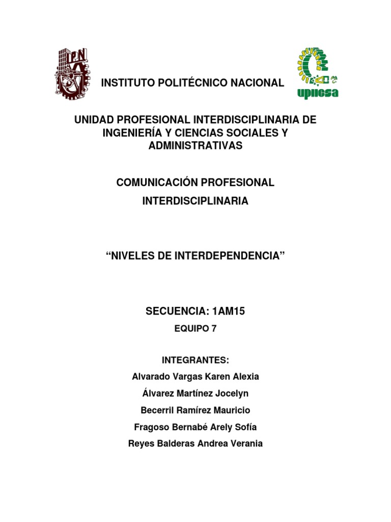 Niveles de Interdependencia en Relaciones | PDF